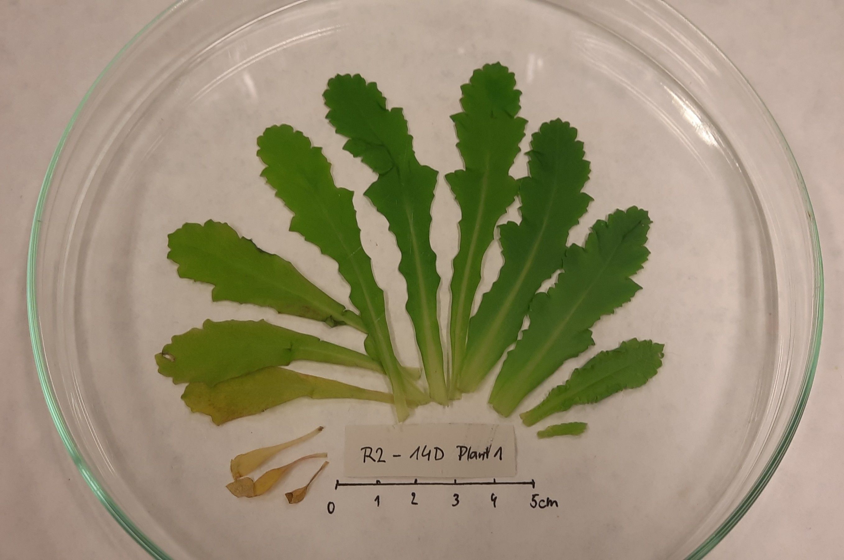 Research - Přírodovědecká fakulta JU