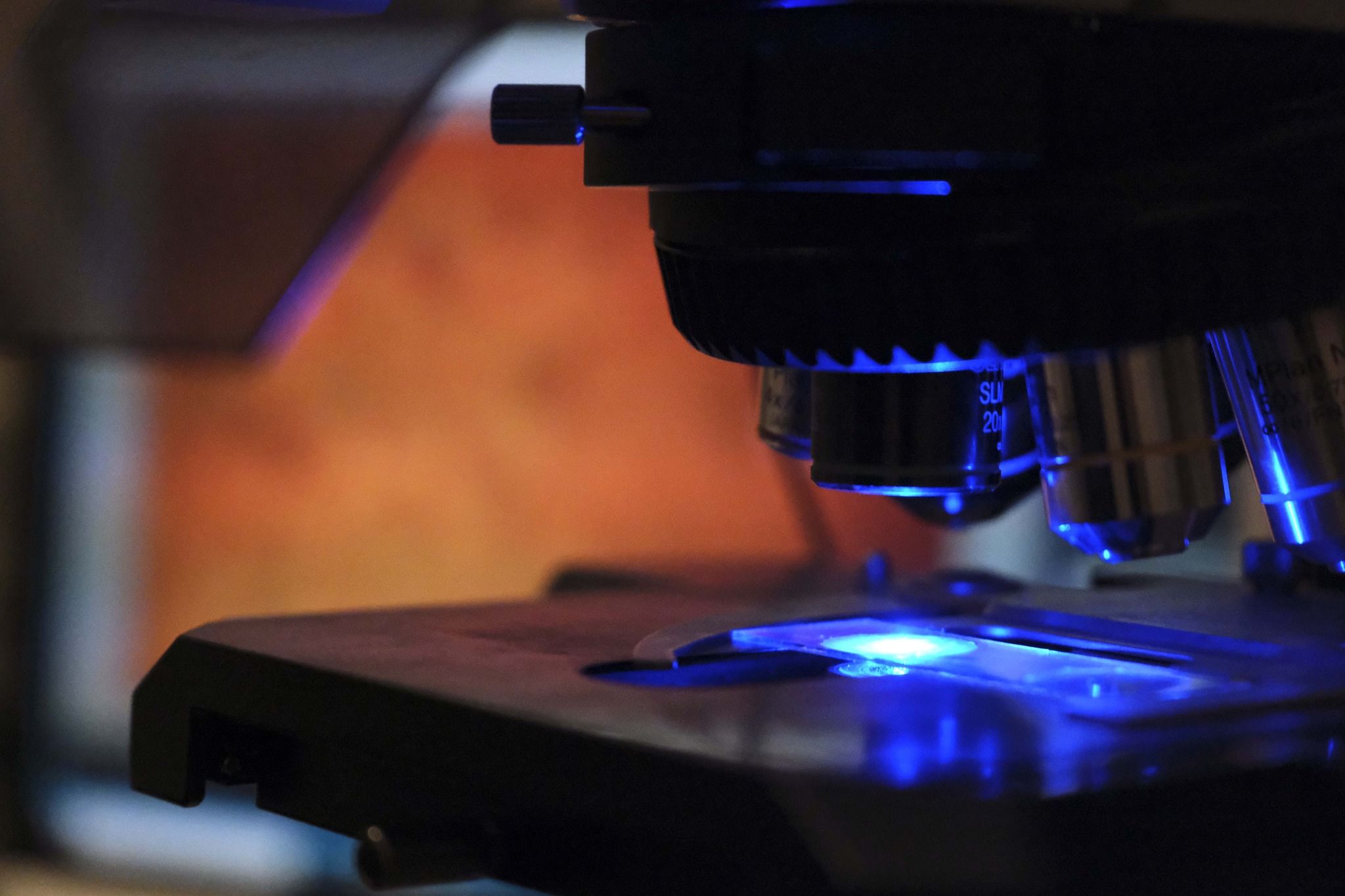 Research - Přírodovědecká fakulta JU